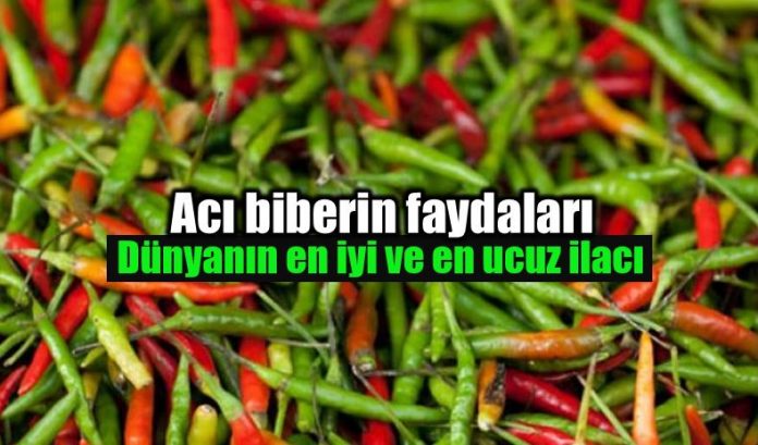 Acı biber faydaları: Dünyanın en iyi ve en ucuz ilacı