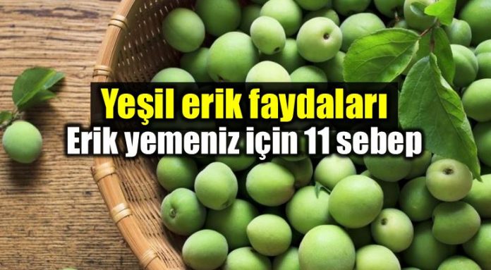 Yeşil erik yemeniz için 11 neden: Yeşil eriğin faydaları