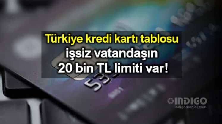 Credit card limits in Türkiye: Unemployed citizens have a limit of 20 TL!