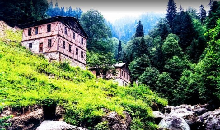 Laz Uşağı: Arhavi, Lazlar, Lazca, Karadeniz çayı ve Atmaca avı