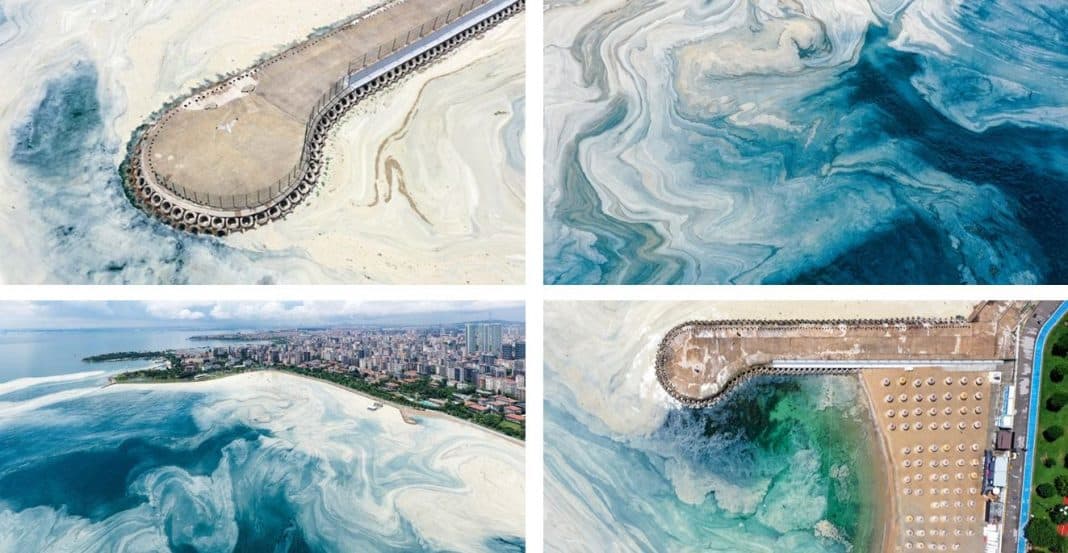 Caddebostan Sahili'nde müsilaj yoğunluğu giderek artıyor!