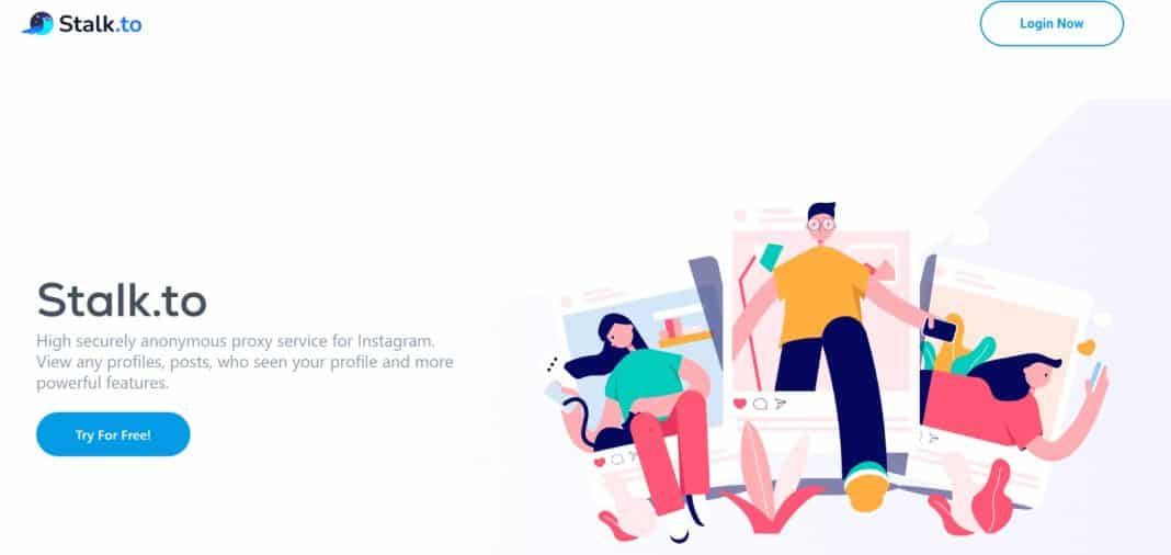 Stalk.to Nedir, İnstagram'da Gizli Profilleri Görüntüleme Projesi Stalk ...