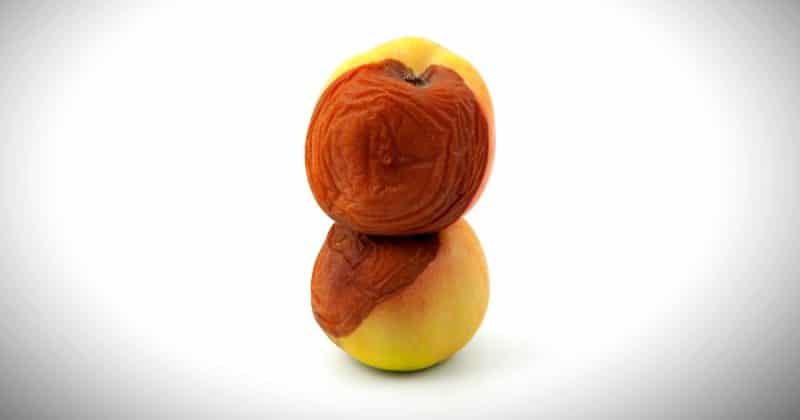 Toksik insan, toksik iletişim ve toksik hayatlar