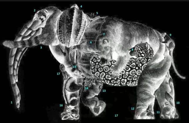 Resimde kaç hayvan var? 15'ten fazla bulanlar çok zeki!