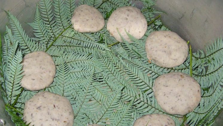 Dünyanın en kötü yemekleri seçildi: Listede bir Türk yemeği var ...